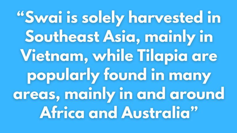 Swai fish vs Tilapia: 4 Interesting Things that May Shock You - Kabaia ...